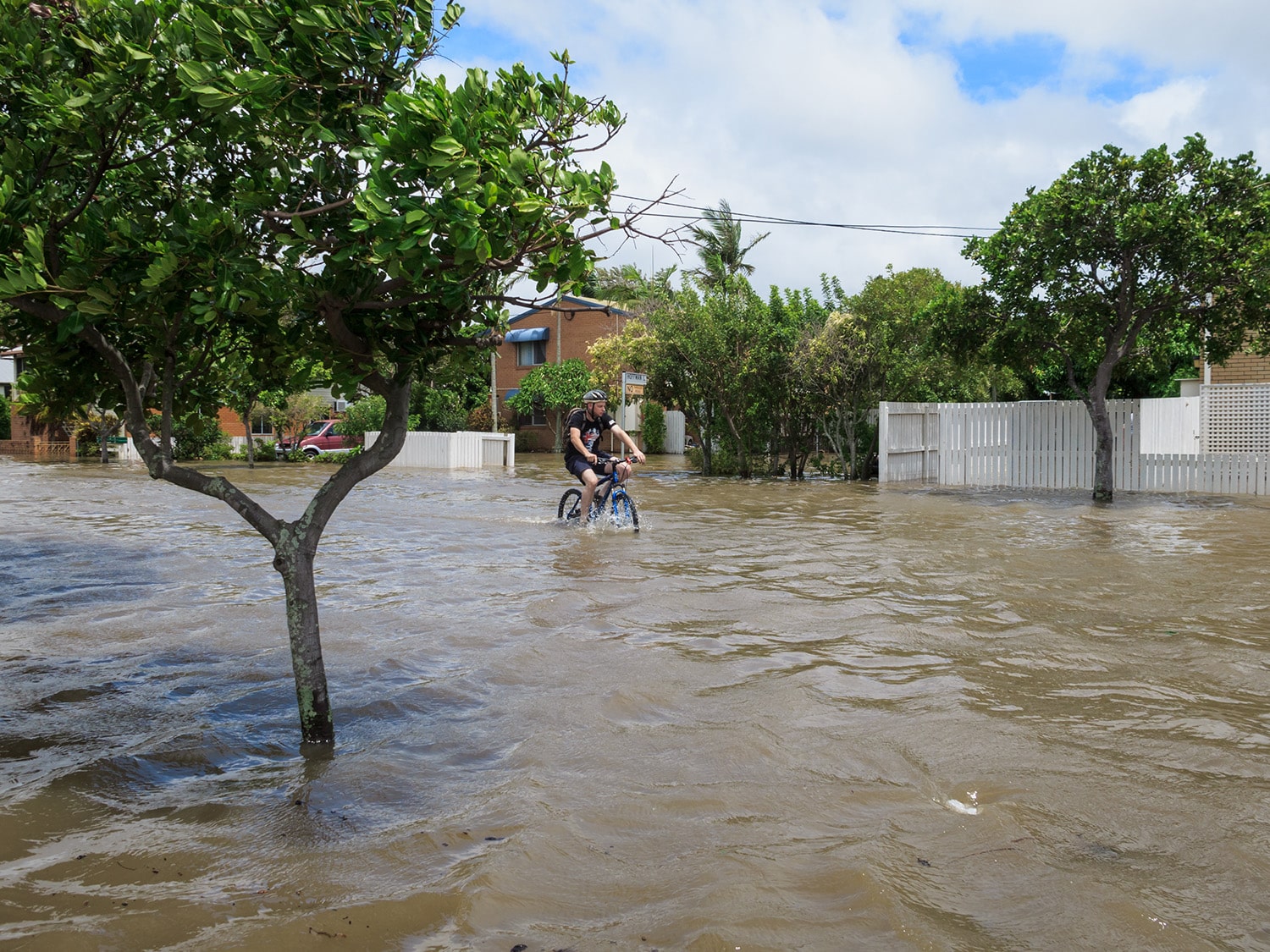 The Costly Aftermath of Cyclone Alfred - Acumentis